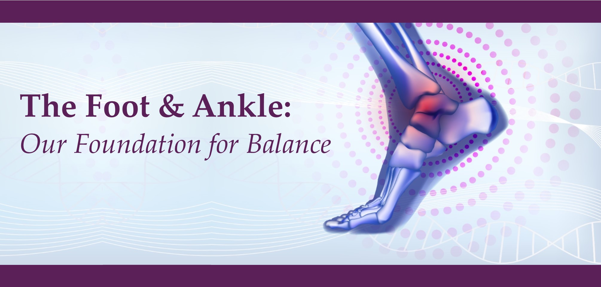 Anatomy Lesson: The Foot & Ankle, Our Foundation for Balance - Goodwin ...
